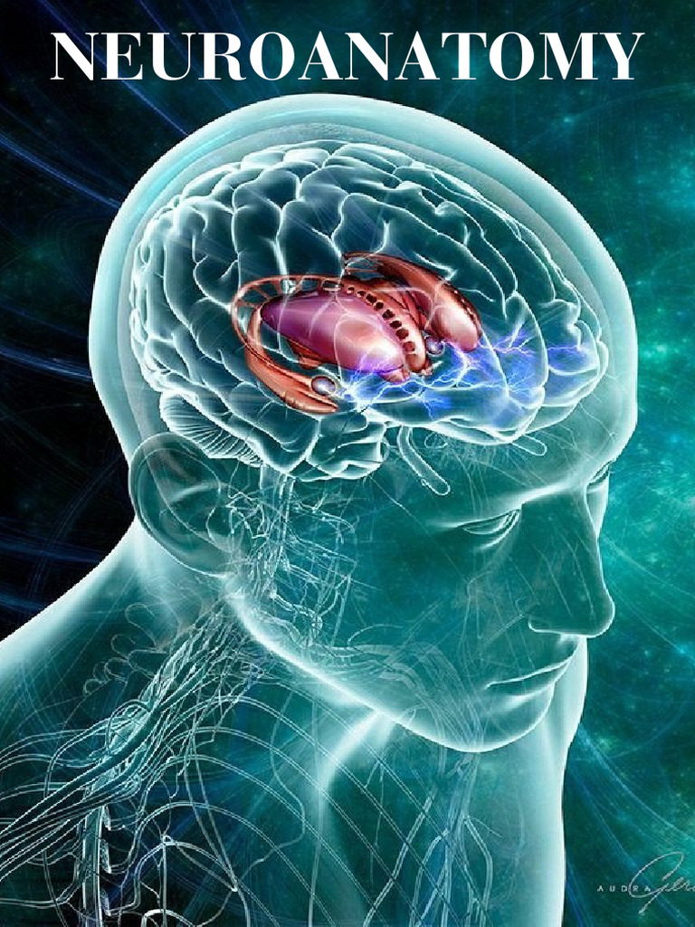 Neuroanatomy - Improv Cover | PDF