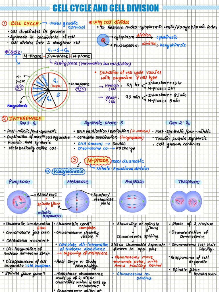 Cell cycle and cell division | PDF