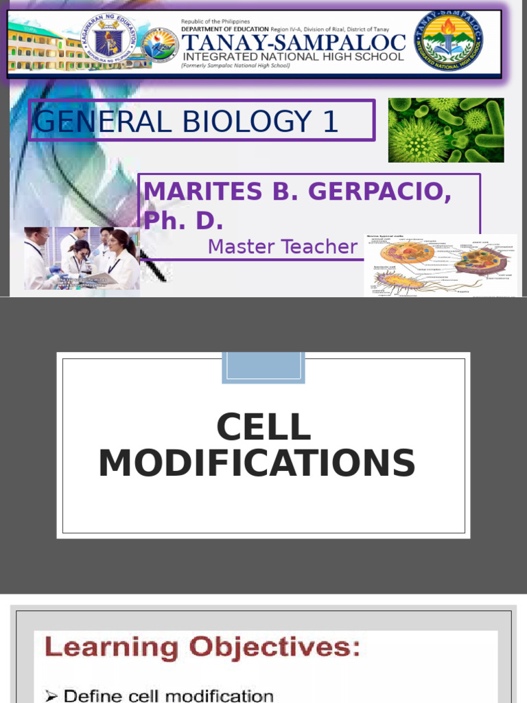 Cell Modification | PDF