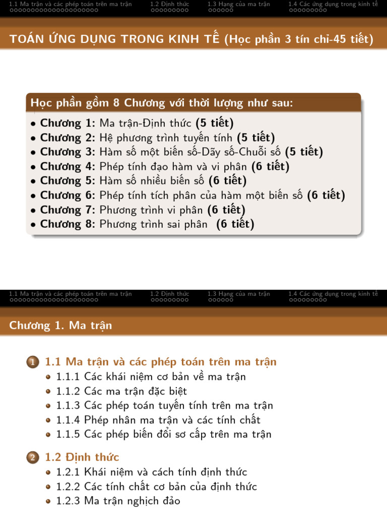 Slide - TCC Cho Kinh Te - Ch1-Matran | PDF