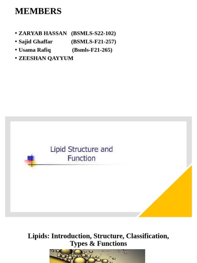 Lipids | PDF