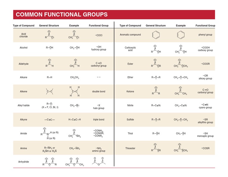 Common Functional Groups | PDF