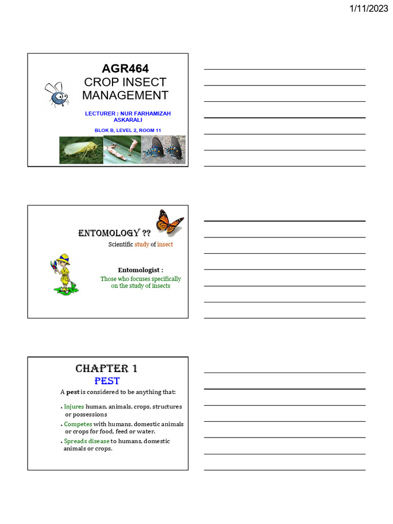Chapter 1identification of Insect Pest - Basic Insects | PDF