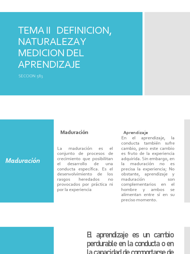 Tema II, Aprendizaje | PDF