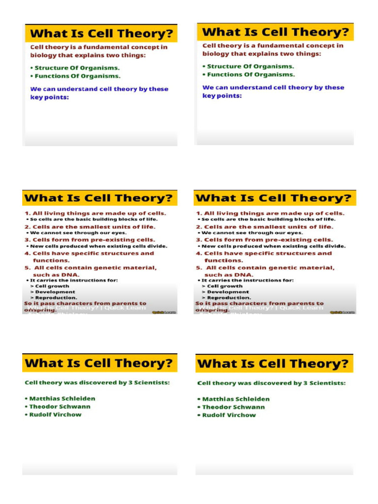 Cell Theory Handout Lecture | PDF