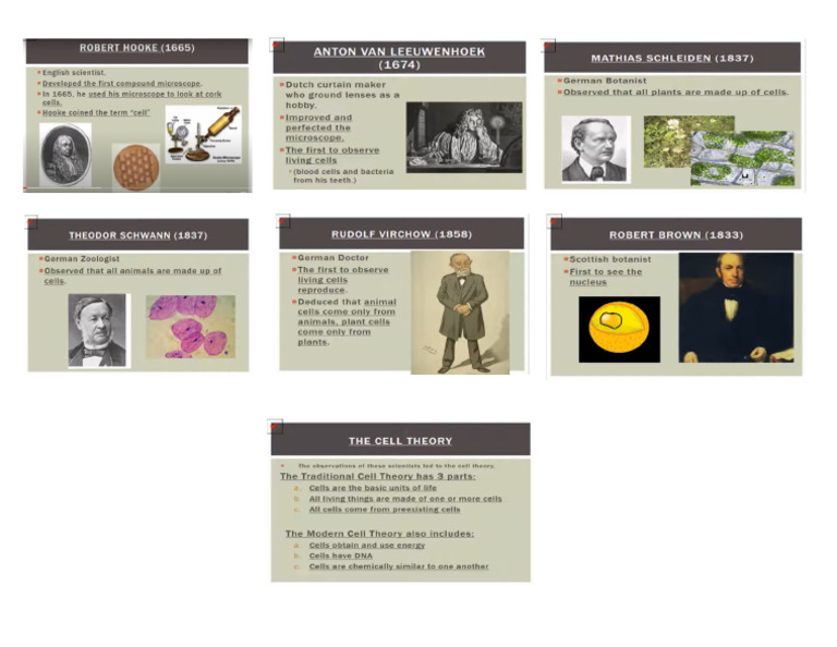 Cell Theory Scientists | PDF