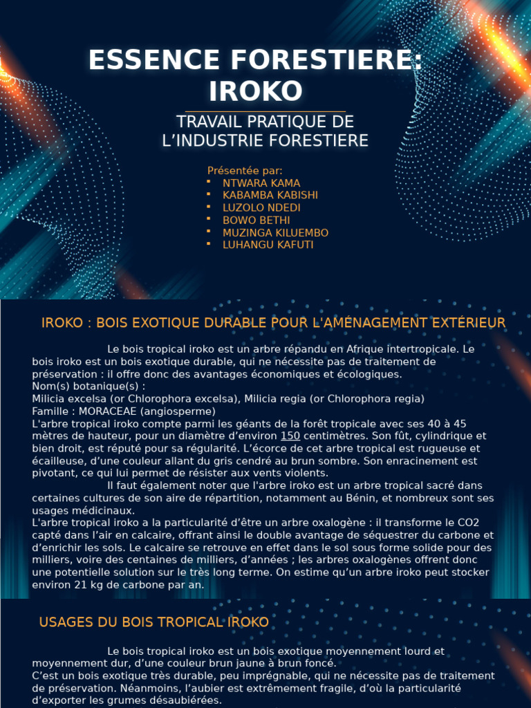 TP Industrie Forestiere | PDF