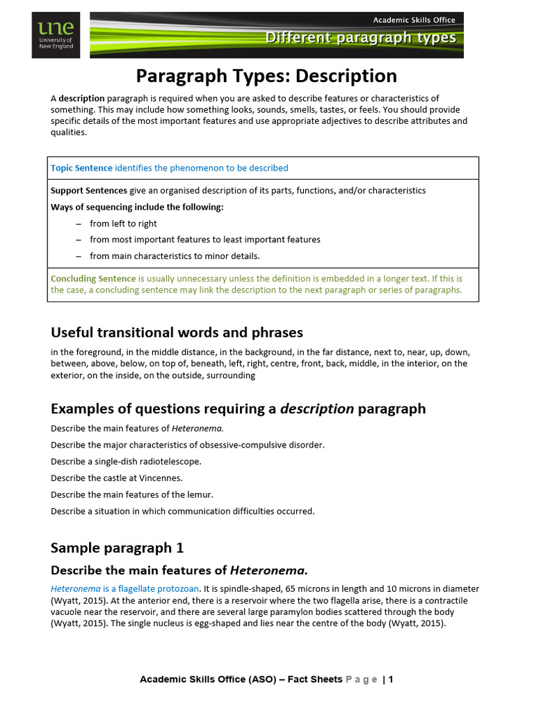 Paragraph Description | PDF