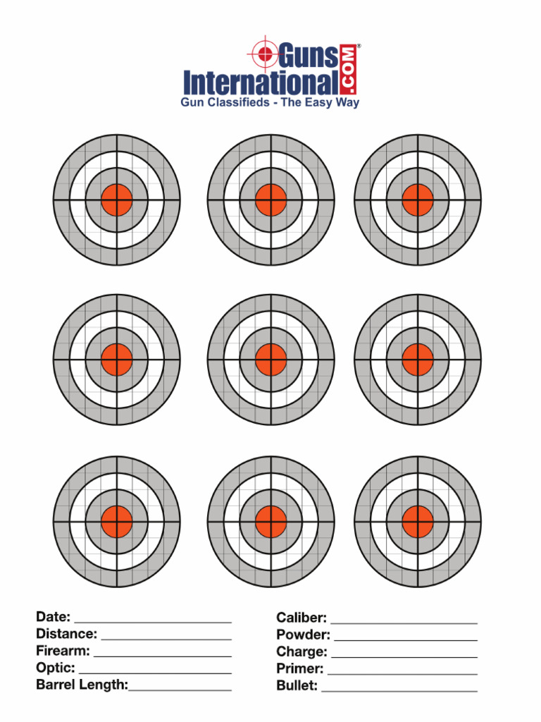 printable-target-2-guns-international-1 | PDF