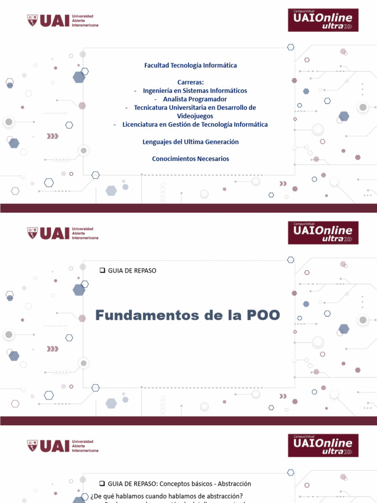 Resumen Poo | PDF