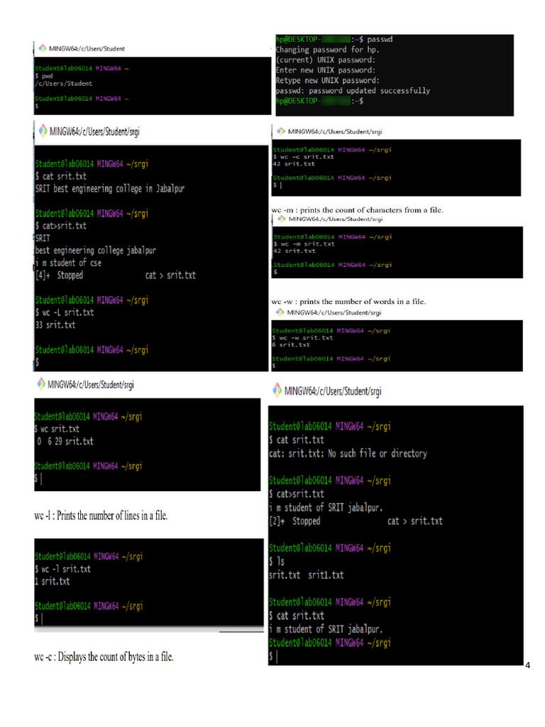 College Linux Lab Practical 1 Printout | PDF