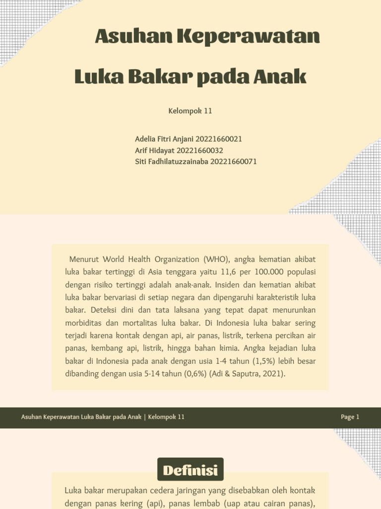 PDF Ppt Luka Bakar | PDF