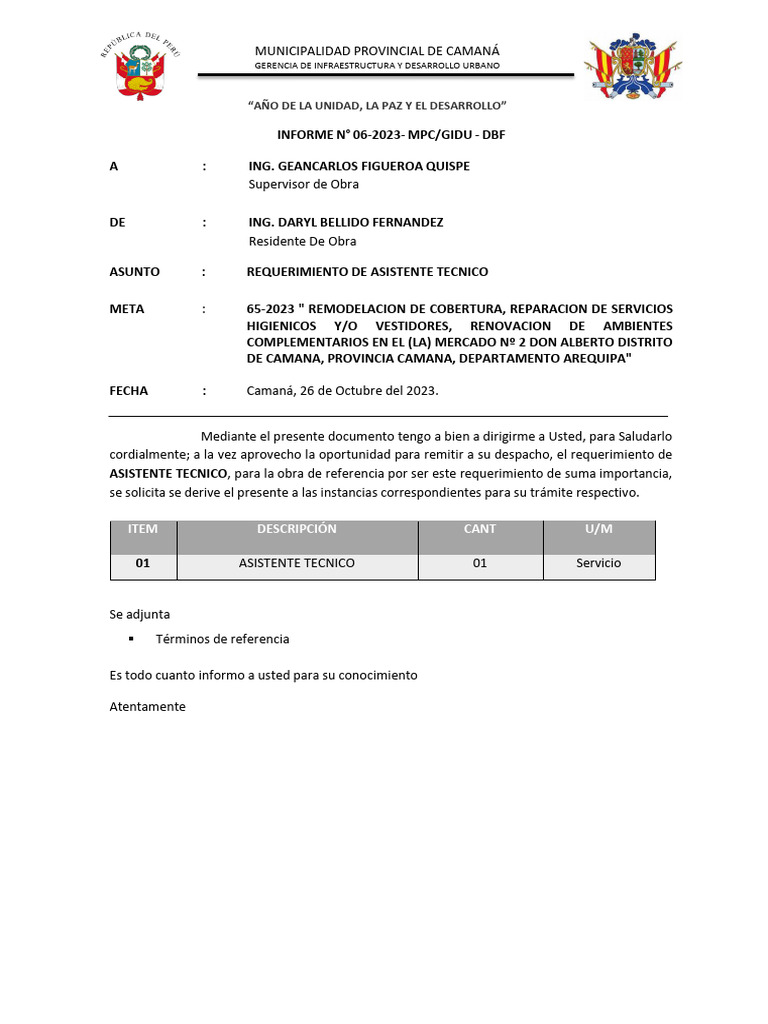 Informe #006 - Asistente Tecnico | PDF