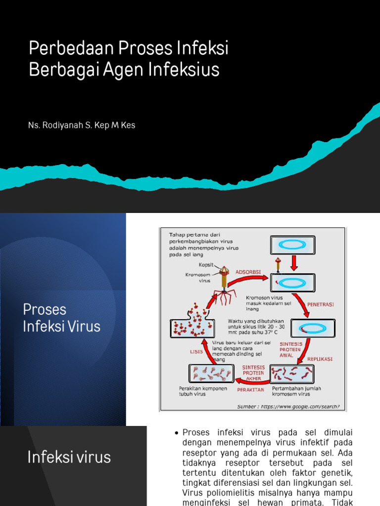 Perbedaan proses infeksi.pptx | PDF