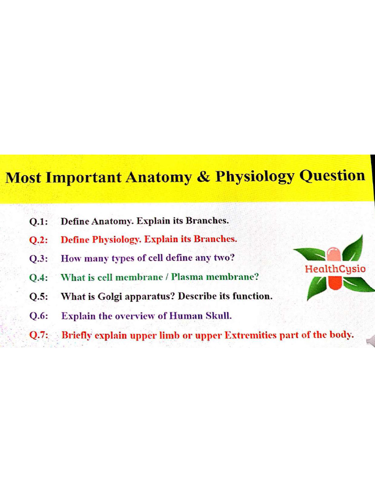 B Category Imp Questions 1st Year Compressed | PDF