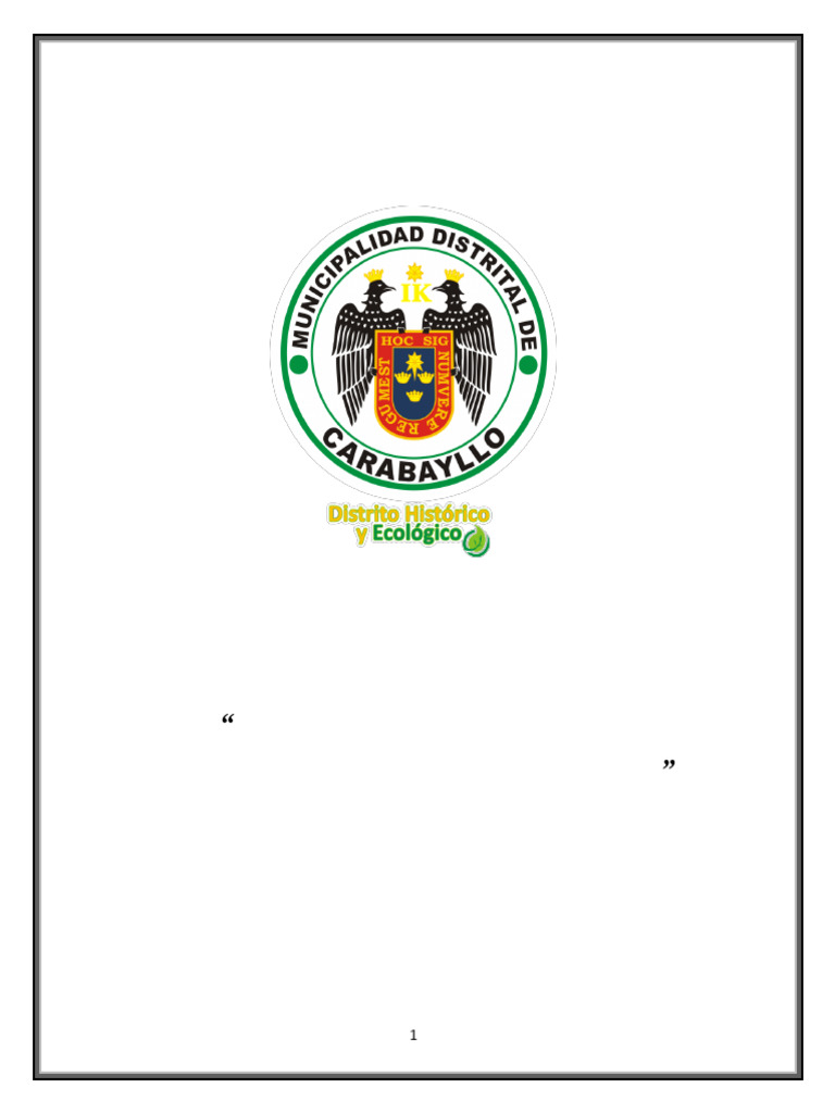 MDCarabayllo - RISST | PDF