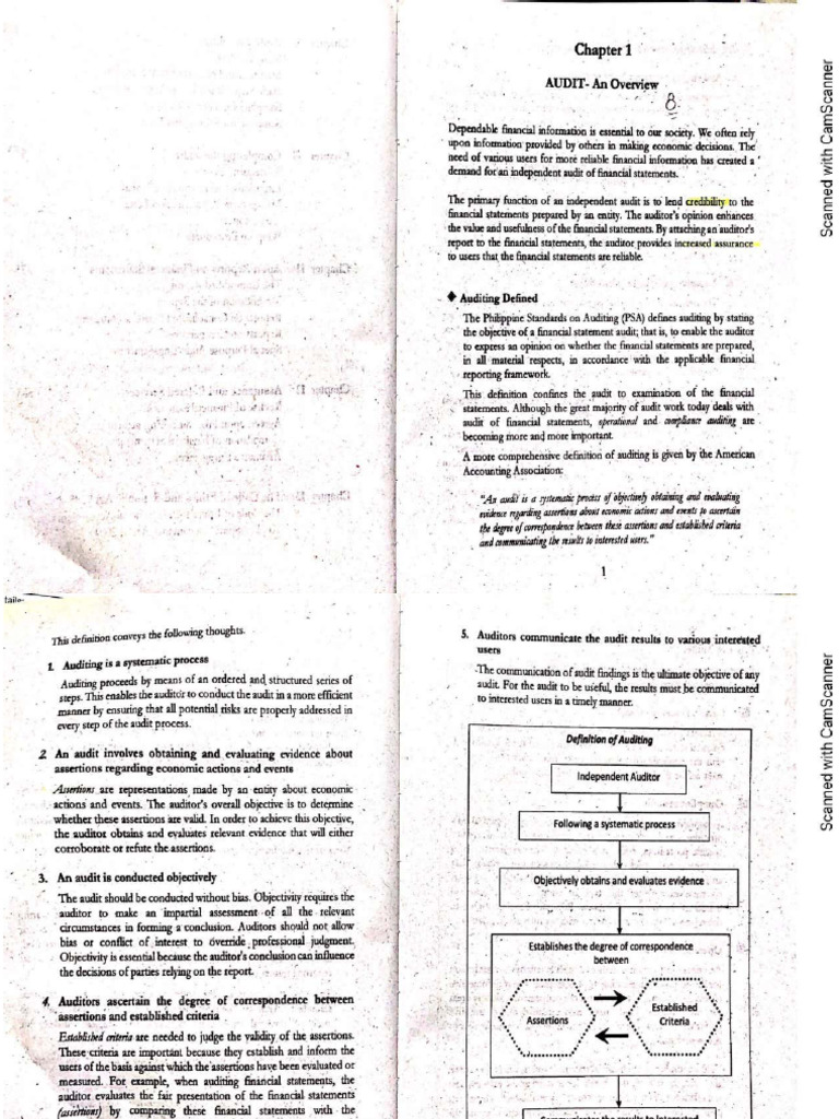 Chapter-1 AUDITING | PDF