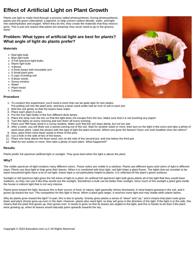 Effect Position Artificial Light Plant | PDF