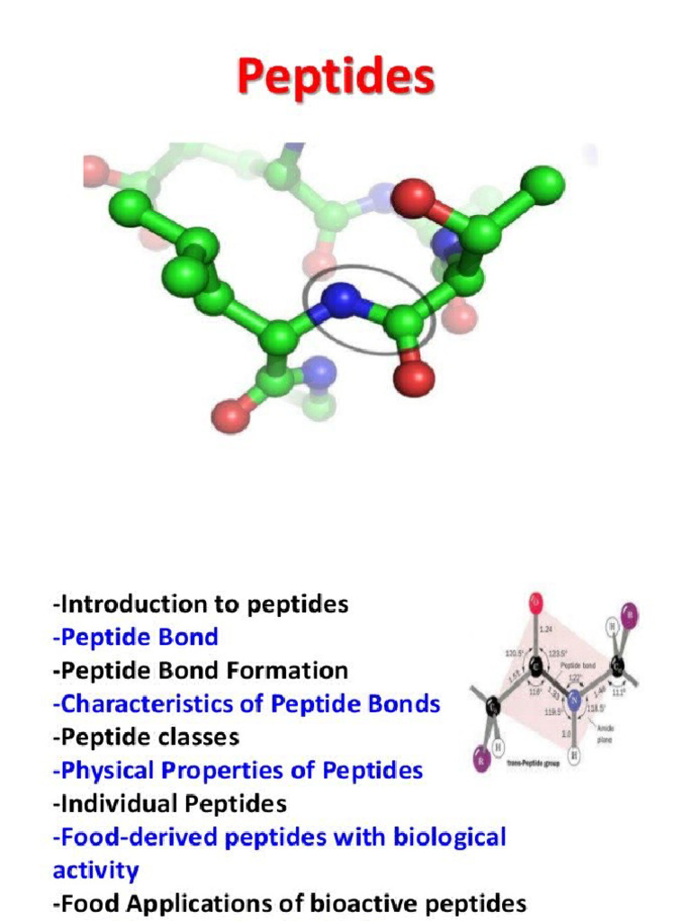 Peptides | PDF