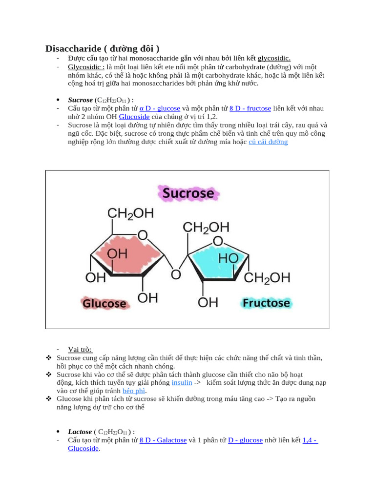 Disaccharide | PDF