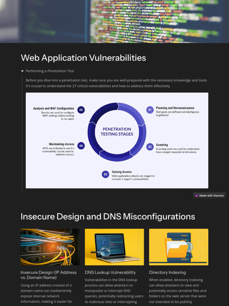 Web Application Vulnerabilities | PDF