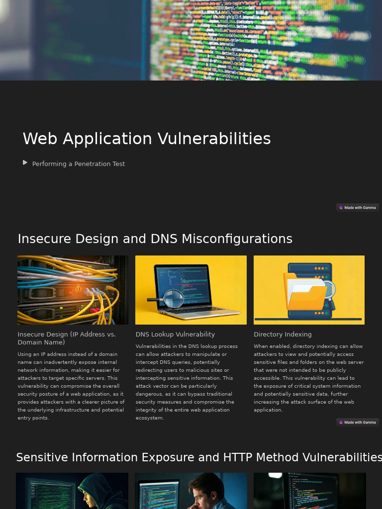 Web Application Vulnerabilities | PDF