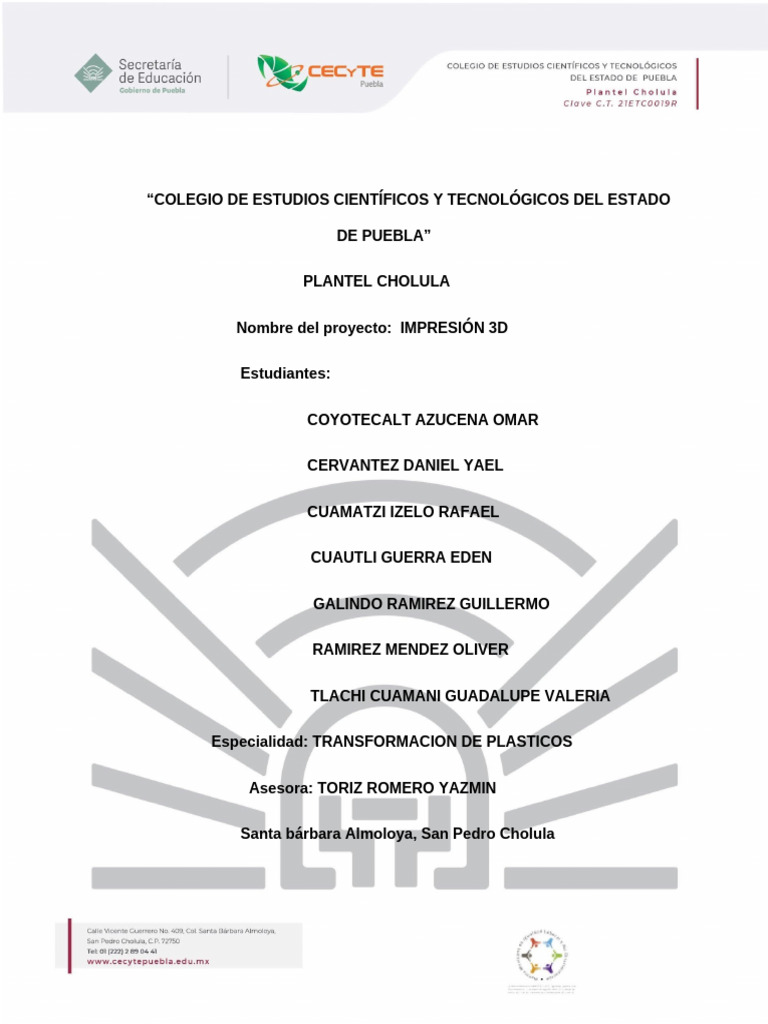 Formato para Escribir Protocolo de Investigacion Tesina Fin | PDF