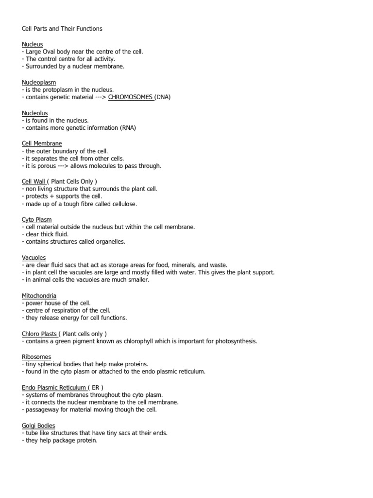 Cell Parts and Their Functions | PDF | Cell Nucleus | Cell (Biology)