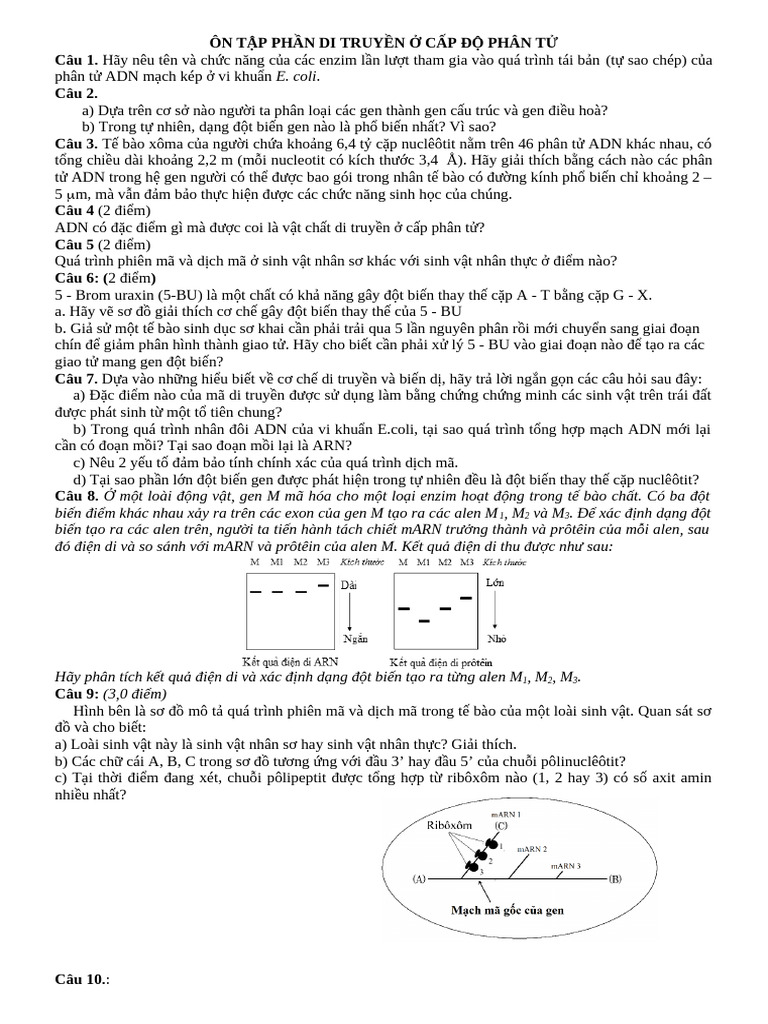 DTPT Vòng 1 | PDF