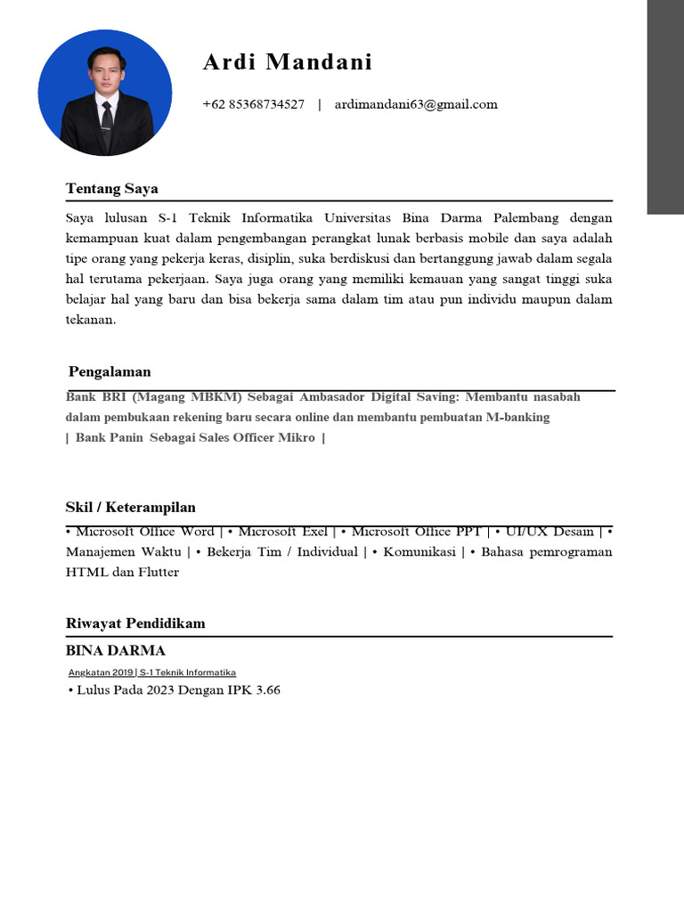 CV - Ardi Mandani | PDF