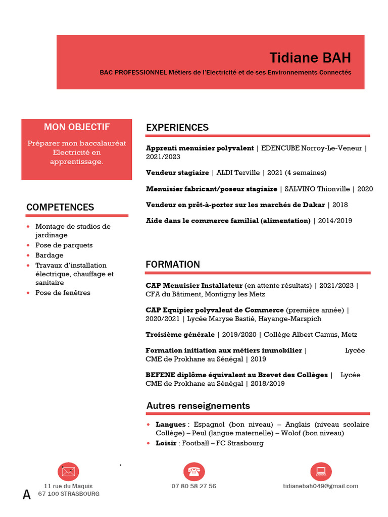 CV BAH Tidiane | PDF