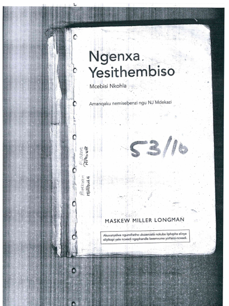 Ngenxa Yesithembiso 1 | PDF