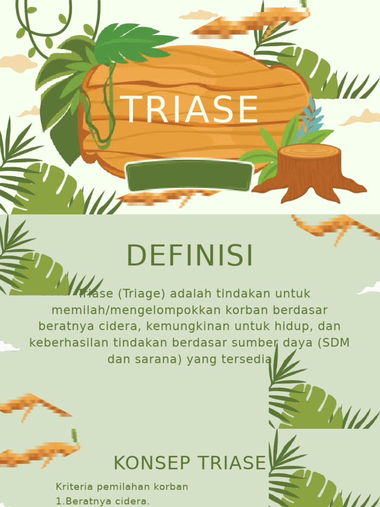 Triase | PDF