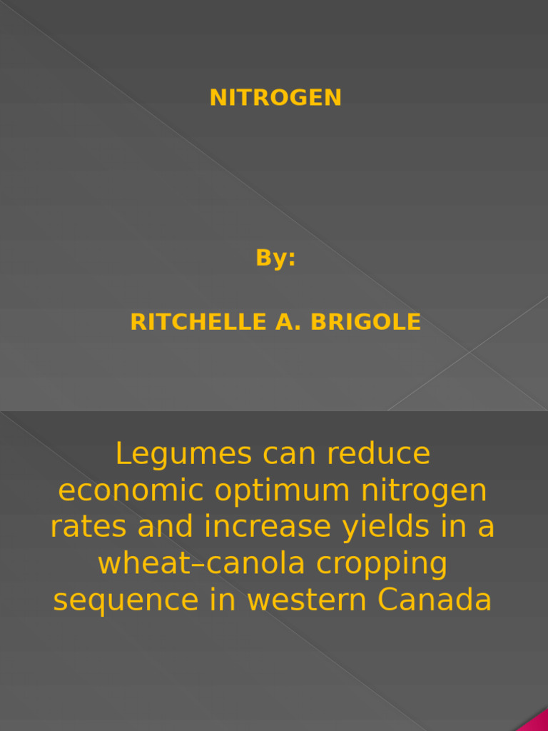 Nitrogen | PDF