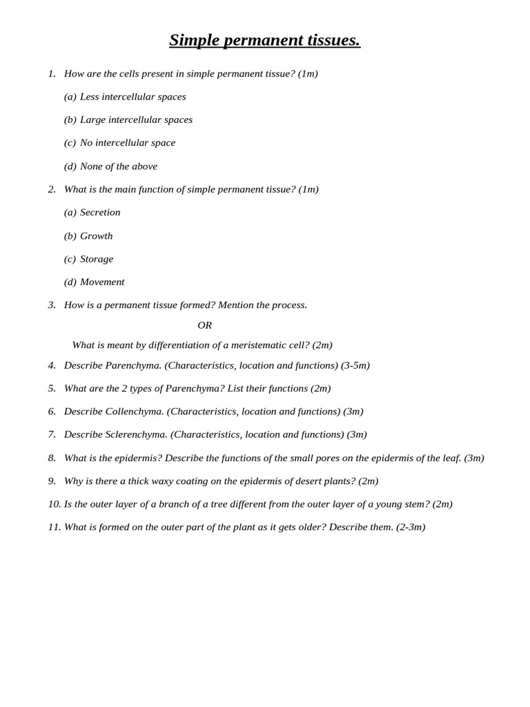 Simple Permanent Tissues Questions 2 | PDF