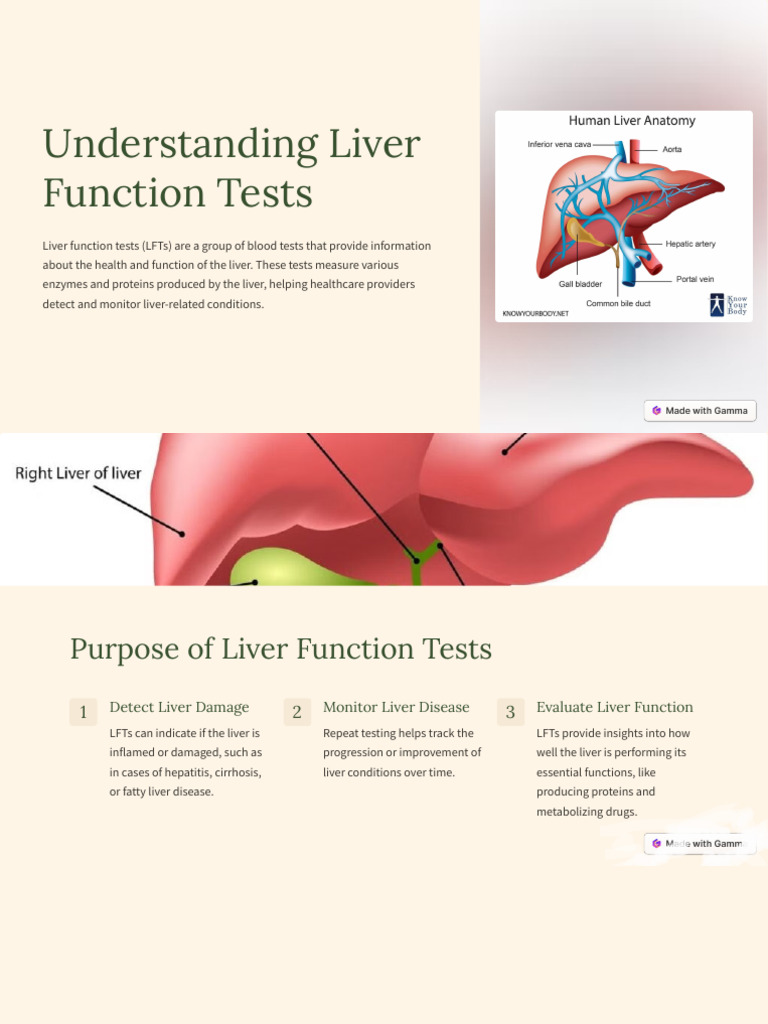 Understanding Liver Function Tests | PDF