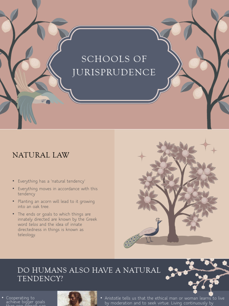 Schools of Jurisprudence - Natural and Positivist Law | PDF | Natural ...