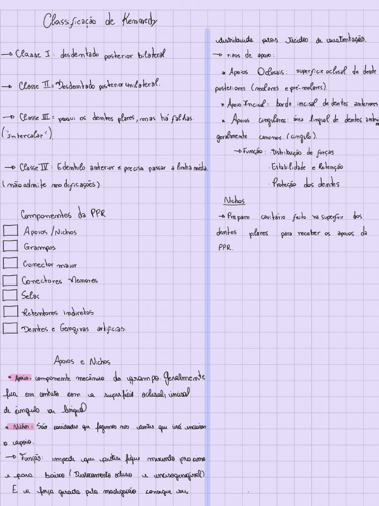 PPR Resumo | PDF