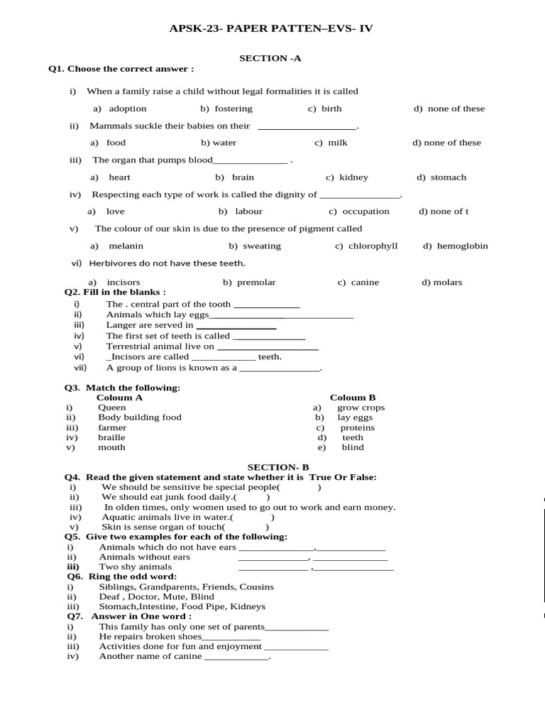Evs-23-Paper Pattern-Evs Iv | PDF