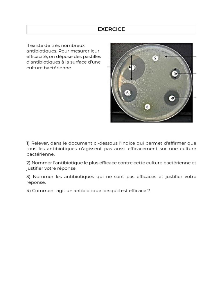Exercice Antibiogramme 1 | PDF