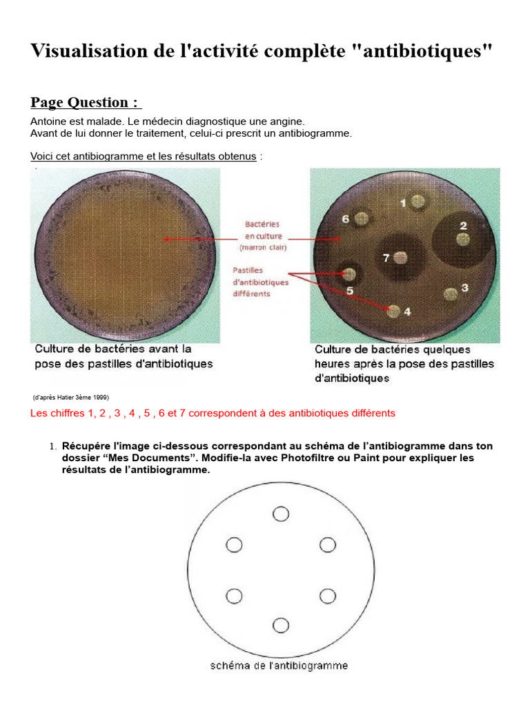 Tache Complexe Gestrep Antibiotiques | PDF