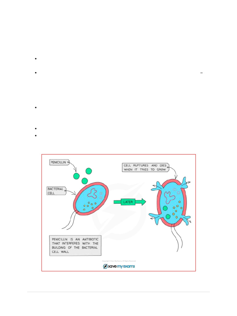 Chapter 15 Notes Drugs | PDF