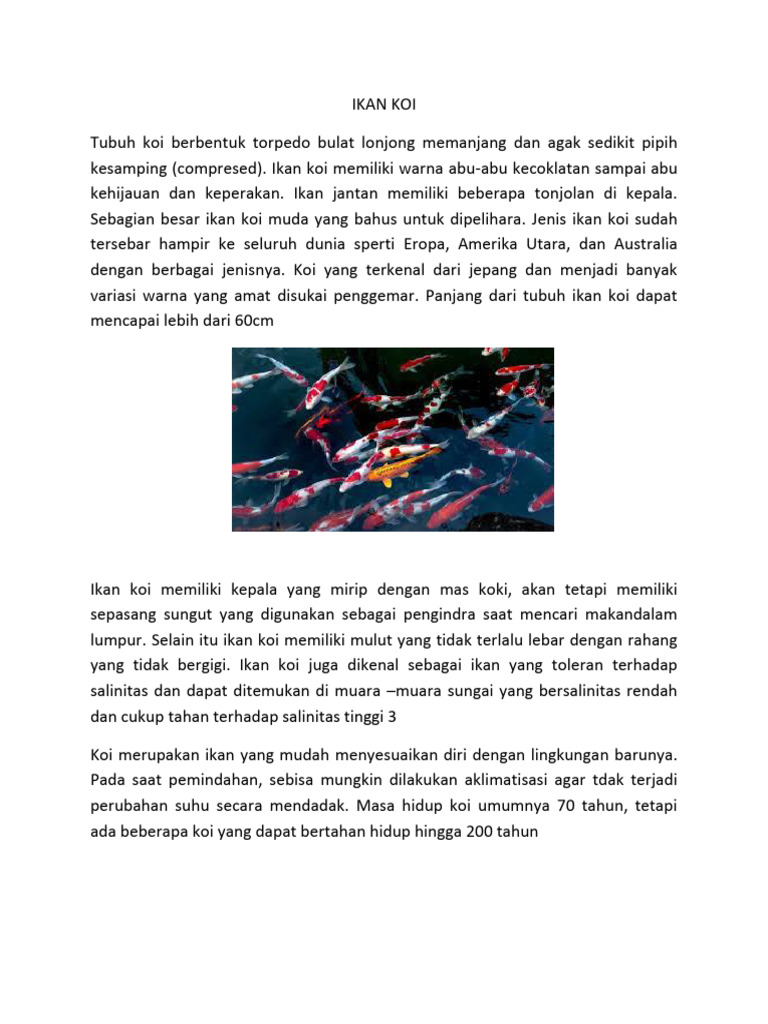 Ikan Koi PDF | PDF