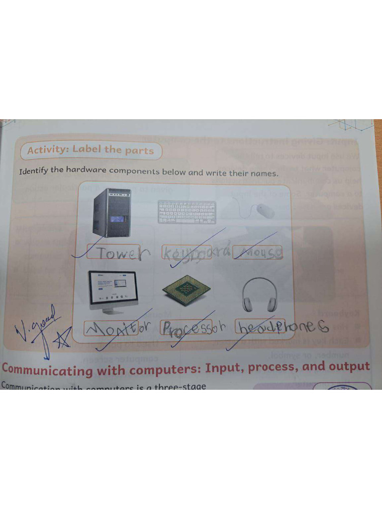 Textbook Activities | PDF