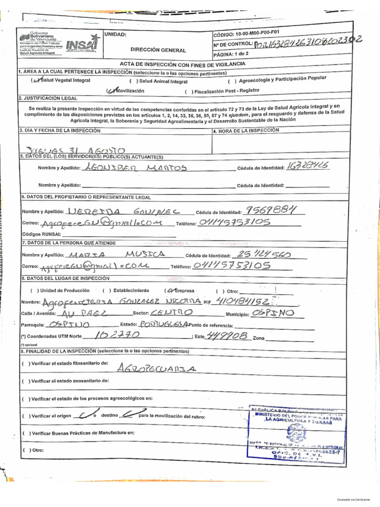 Inspeccion Insai | PDF