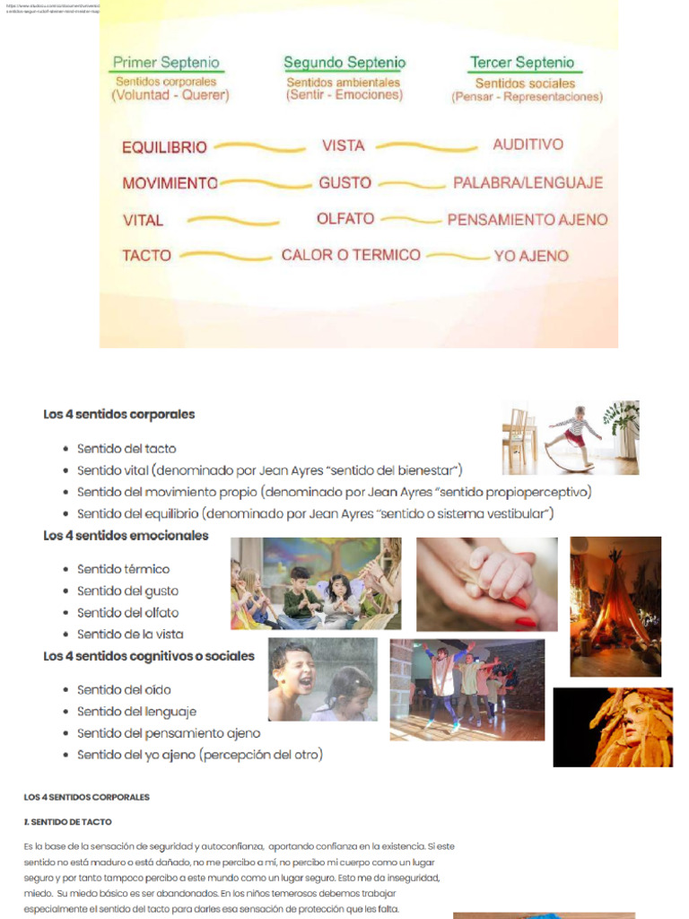 Los 12 Sentidos - Presentación | PDF