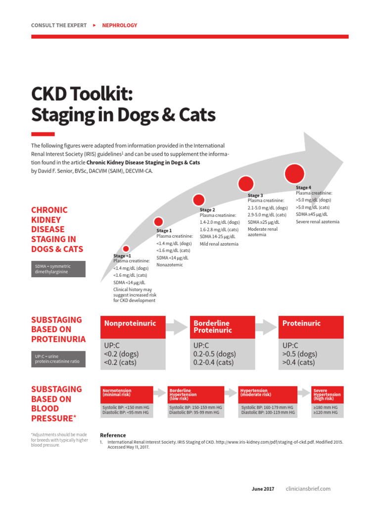 2017 Handout Chronic Kidney Disease Staging in Dogs & Cats | PDF ...
