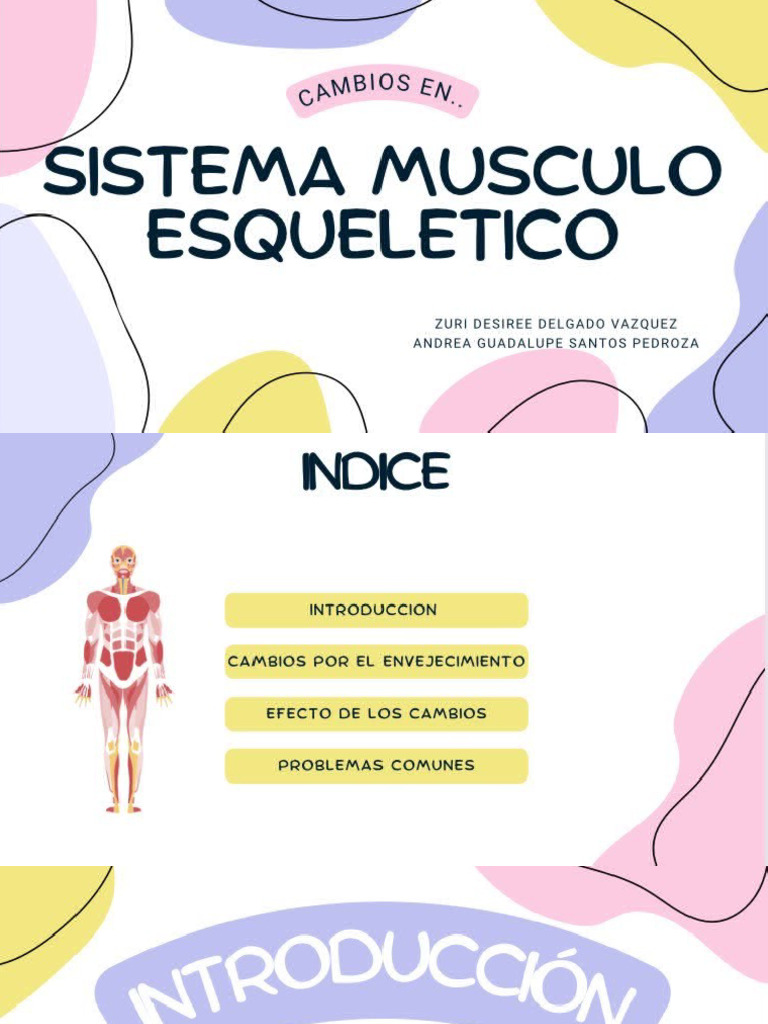 Sistema Músculo Esquelético Pdf