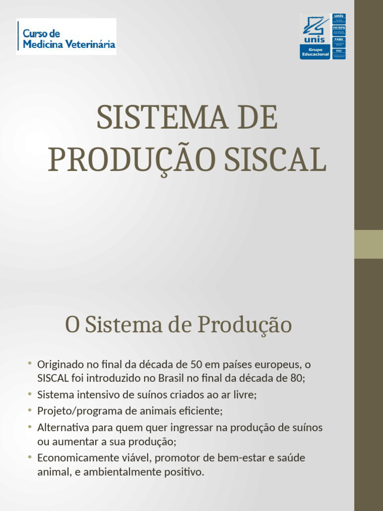 Sistema de Produção Siscal - Slide | PDF