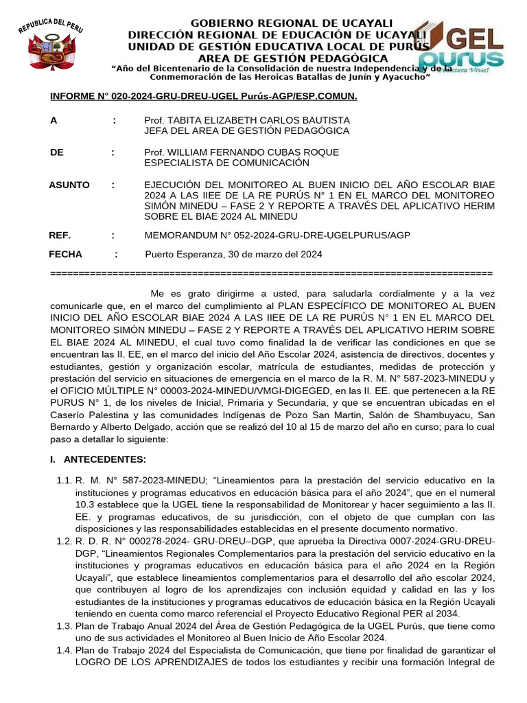 INFORME 020-Ejecucion Monitoreo BIAE 2024 RE PURUS #1 Bajo Purus | PDF
